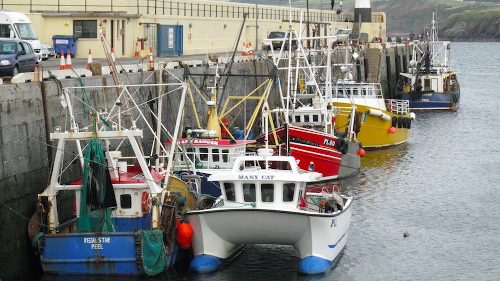 Isle of Man plans long-term scallop management - FiskerForum